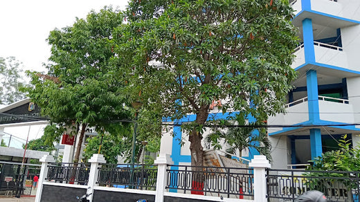 Rumah Susun Pondok Bambu – TOYO CAHYA KONSTRUKSI